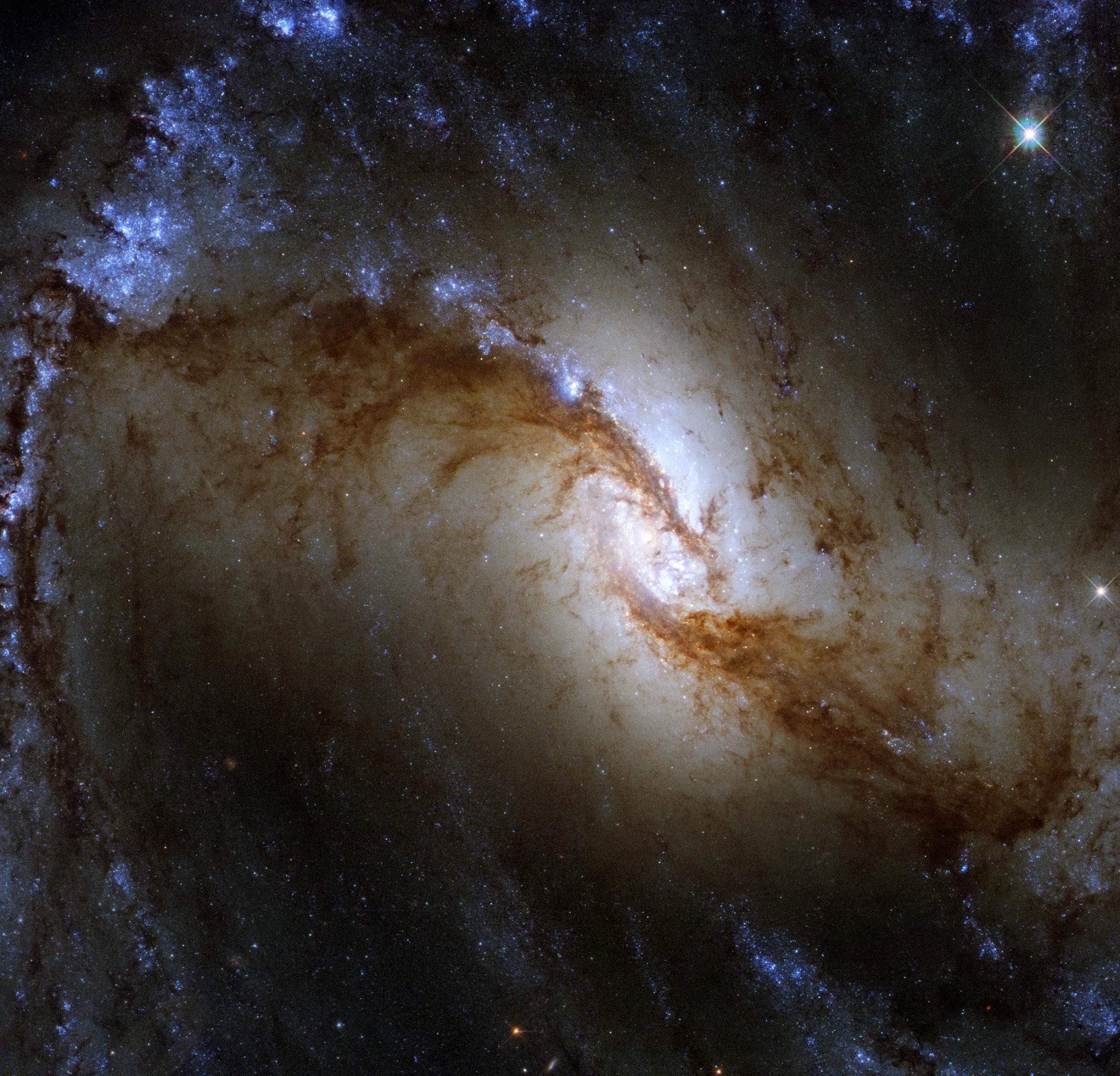 Survey of the Stars: Hubble Captures Great Barred Spiral Galaxy in a Fiery Furnace
