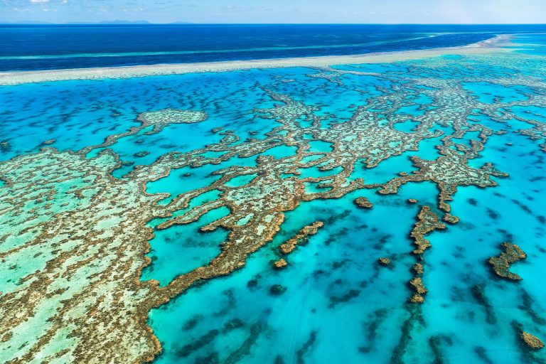 Highest Coral Cover in Central, Northern Great Barrier Reef Since ...