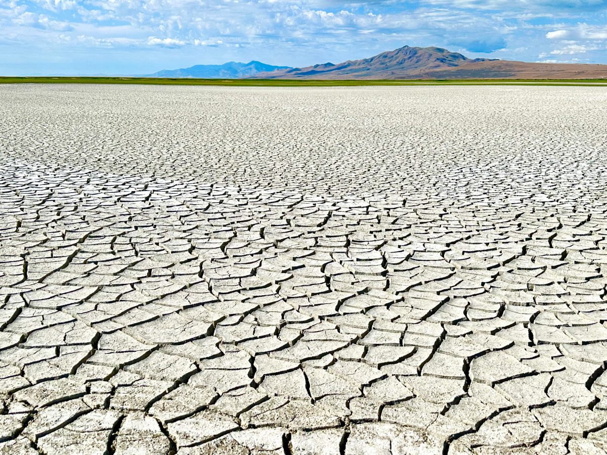 The Great Salt Lake Is Rapidly Shrinking: Researchers Call for Urgent ...