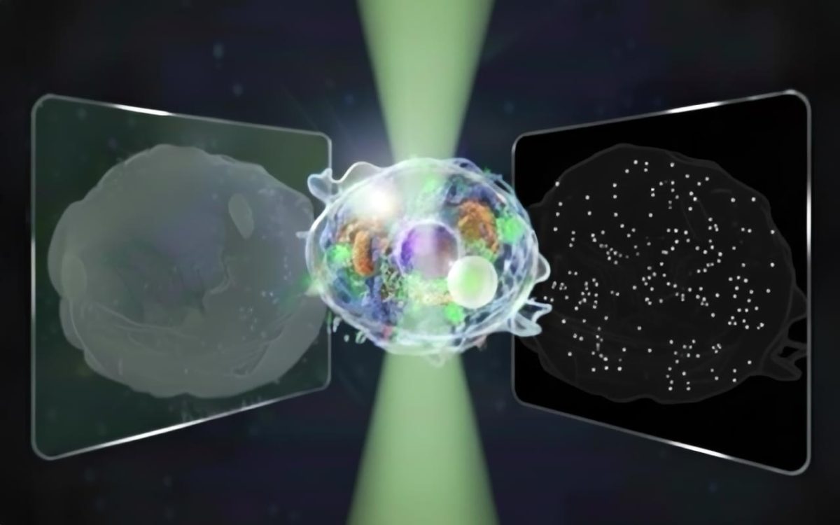 “Great Unified Microscope” Reveals Hidden Micro and Nano Worlds Inside ...