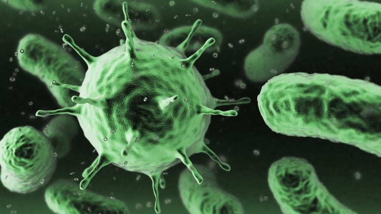 “Pokemonas” – New Bacteria Related to Lung Parasites Discovered, Named ...