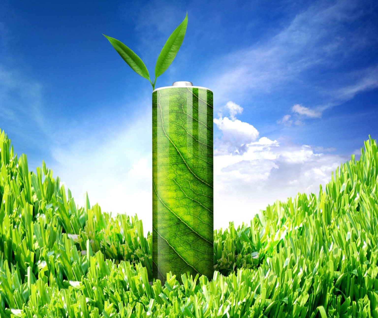 Scientists Have Developed a Living “Bio-Solar Cell” That Runs on ...