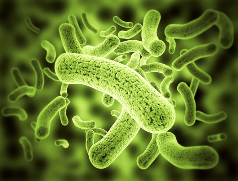 Researchers Discover New Method To Overcome Antimicrobial Resistance