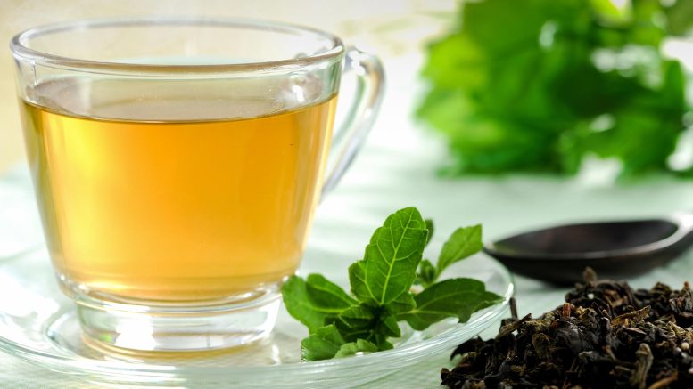 Not Safe for Everybody: The Hidden Risk of Green Tea Extract