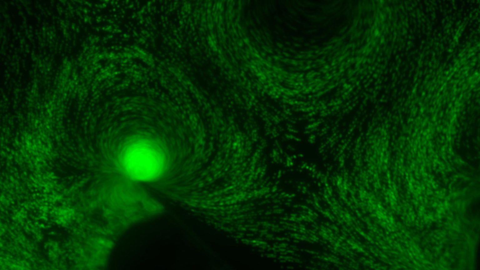 Miniature Whirlpools: A New Weapon Against Dangerous Viruses