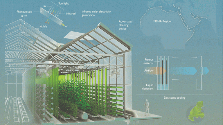 Plants Would Grow Well in Solar Cell Greenhouses – Generating ...