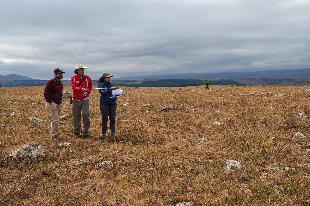 Drones Unlock the Hidden Secrets of a 3000-Year-Old Caucasus “Mega ...
