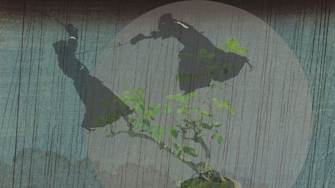 Battle of the Dendrites: How Neurons Compete To Cut Connections