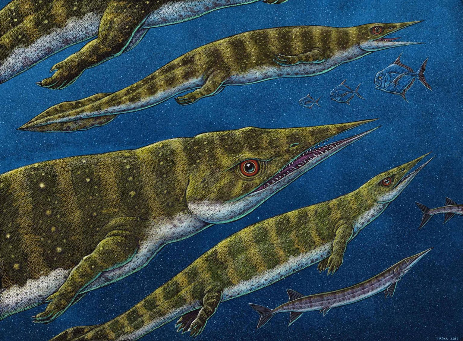 New Species of Marine Reptile Discovered in Southeast Alaska