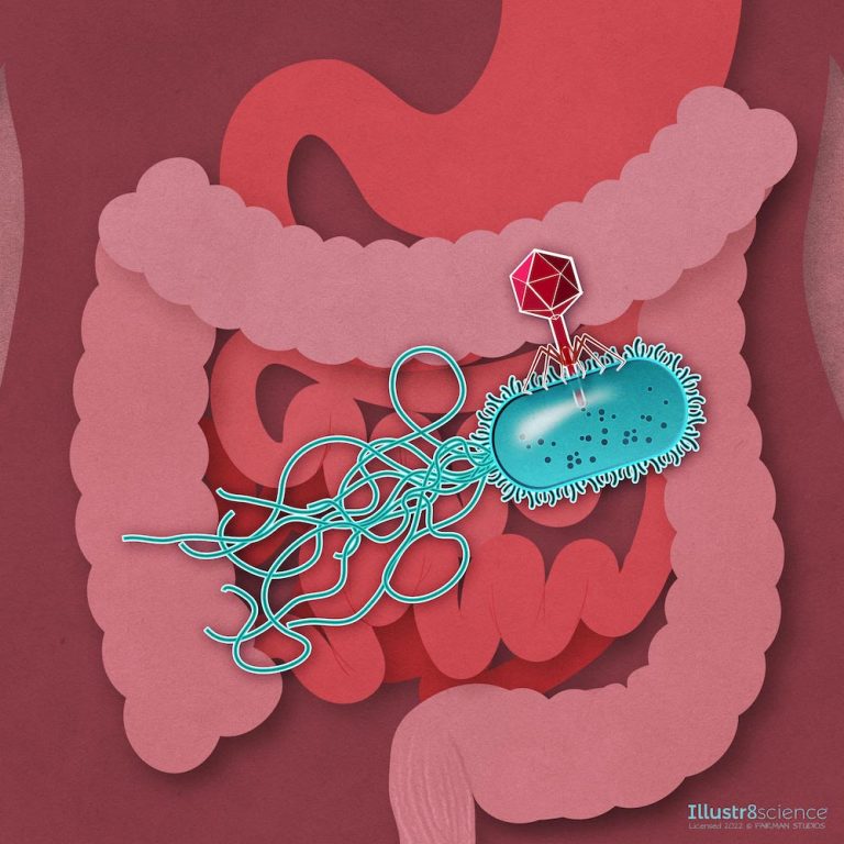 Bizarre Bacterial Superpower: How Some Gut Microbes Awaken Zombie ...
