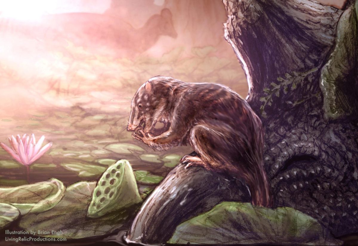 Scientists Discover Ancient “Swamp Dweller” From the Age of the ...