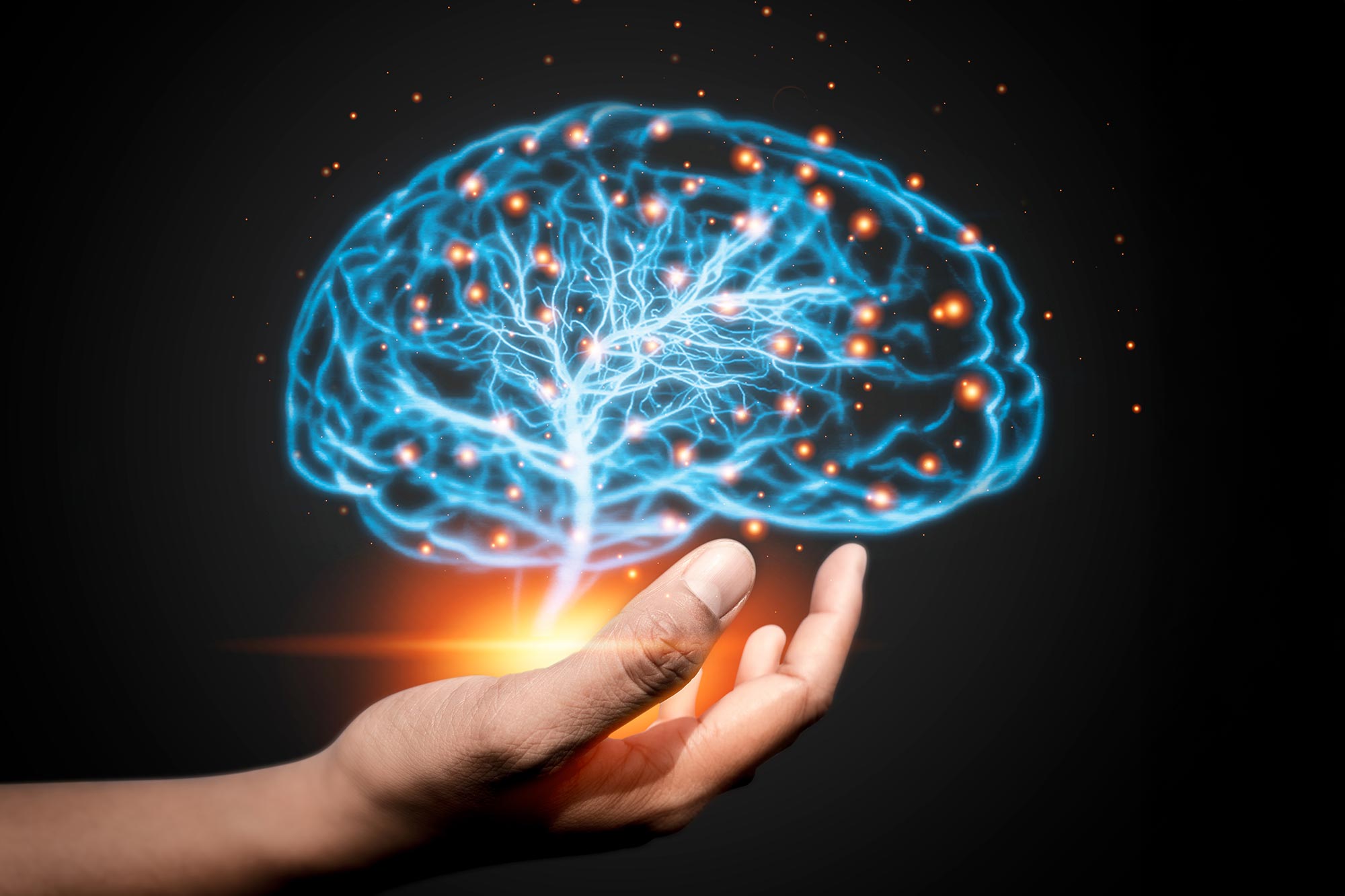 Researchers Decode How We Turn Thoughts Into Sentences