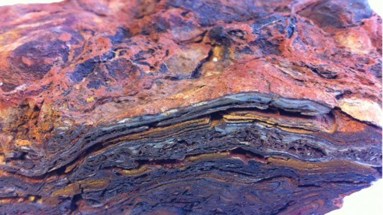 In Australia’s Ancient Stromatolites, NASA Finds a Blueprint for Mars ...