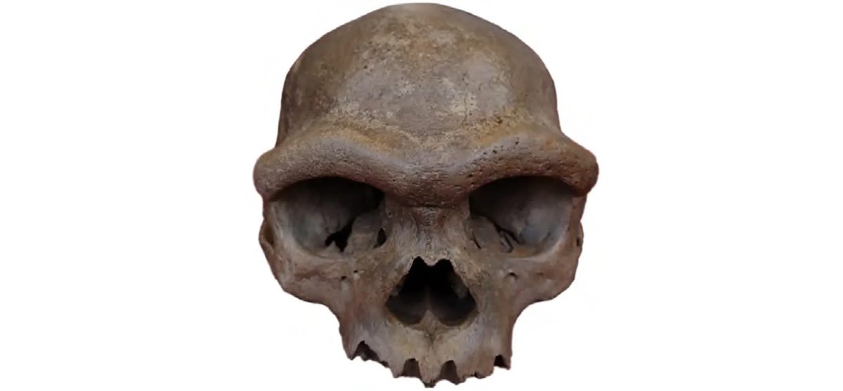 Mysterious “Dragon Man” Skull Identified As Denisovan