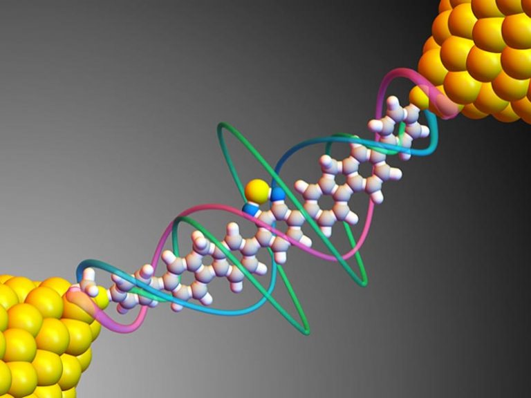Harnessing Quantum Properties to Create Single-Molecule Devices ...