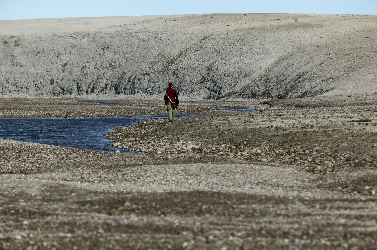 Scientists Discover a 23-Million-Year-Old “Arctic Rhino” in Canada