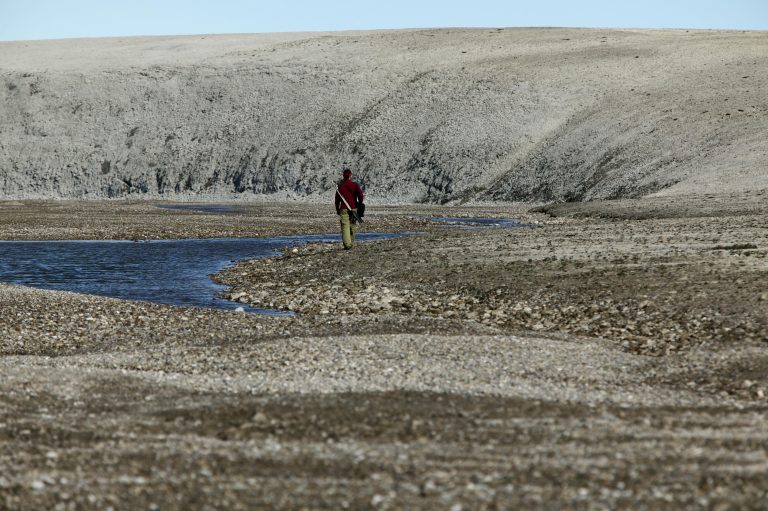 Scientists Discover a 23-Million-Year-Old “Arctic Rhino” in Canada