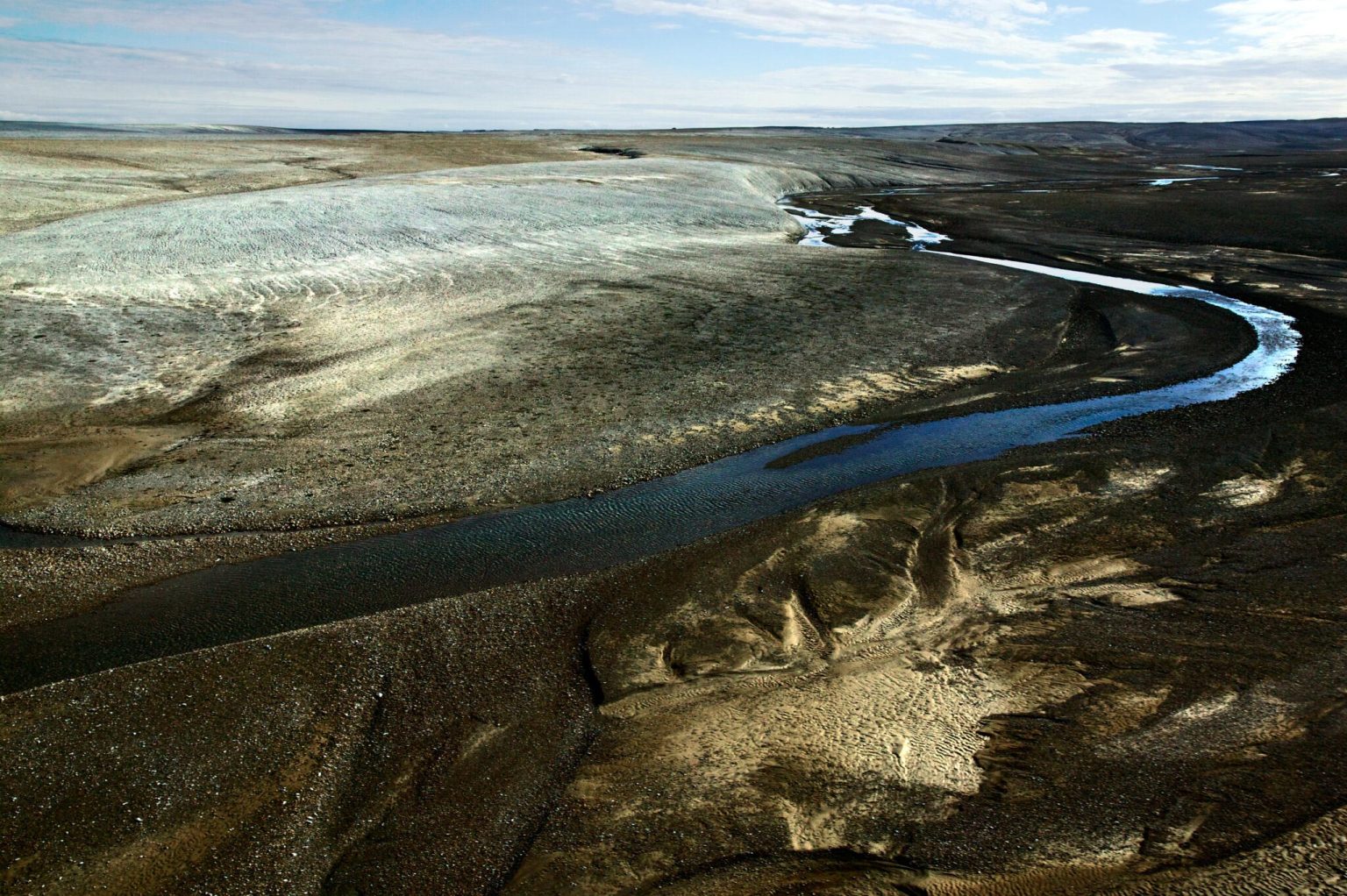 Scientists Discover a 23-Million-Year-Old “Arctic Rhino” in Canada