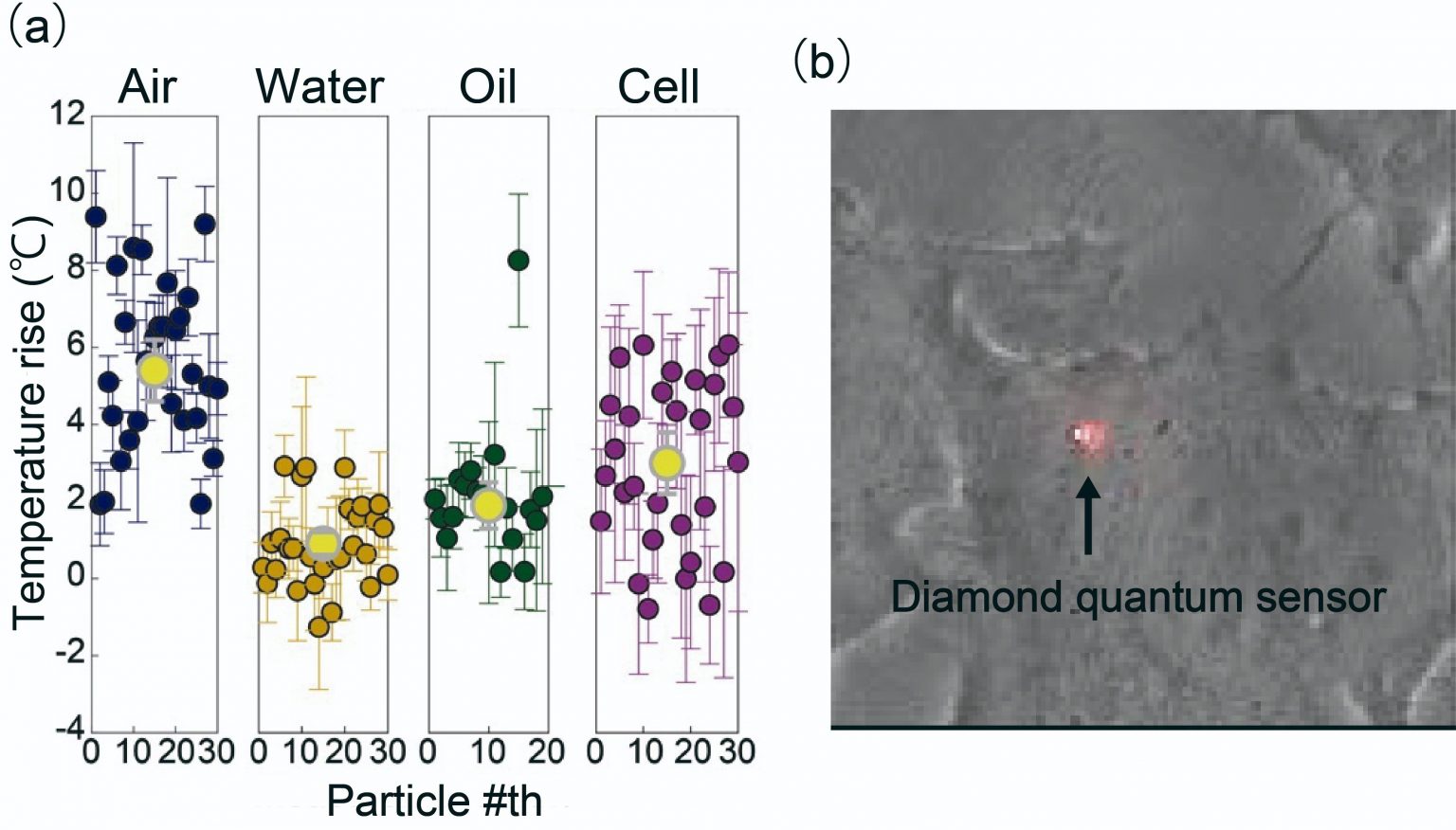 Nanodiamond Sensors Created That Can Act As Both Heat Sources and ...