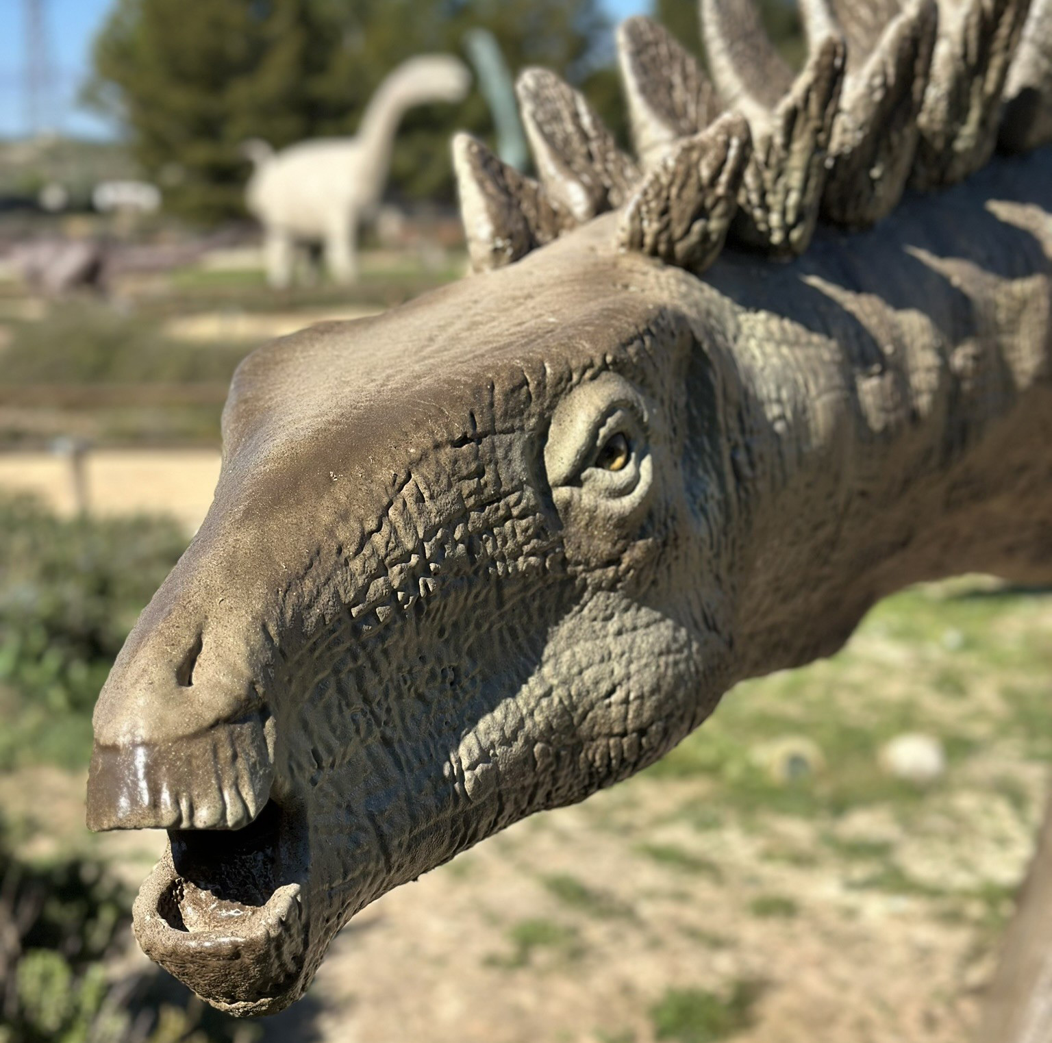 150-Million-Year-Old Stegosaurus Skull Rewrites Dinosaur Evolution