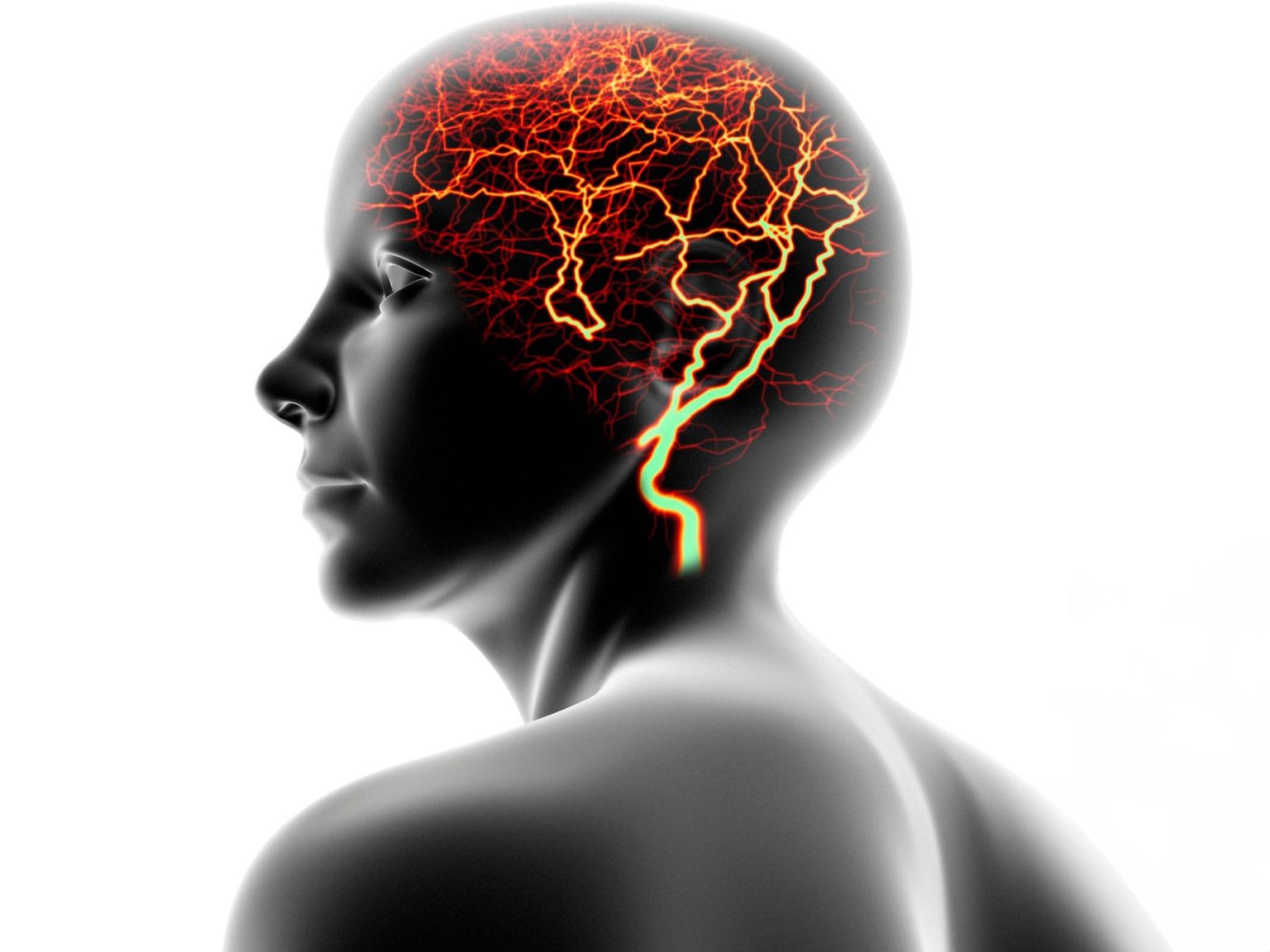 Brain Trauma and Dementia: The Shocking Blood Vessel Breakdown ...