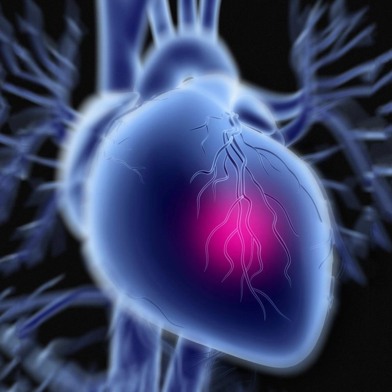 Can Heart Damage Be Reversed? New Research Offers Hope