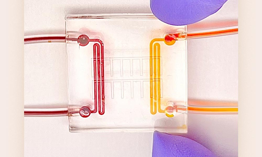 Heart Attack on a Chip: Replicating Key Aspects of America’s No. 1 Killer