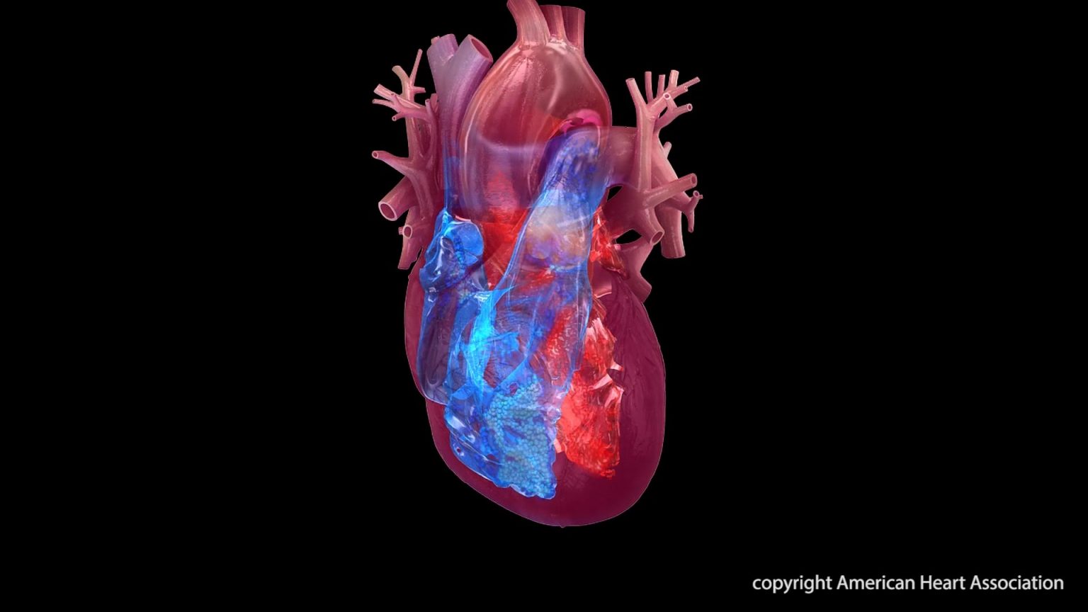Longer-Lasting Benefits – A More Effective Treatment for a Common Heart ...