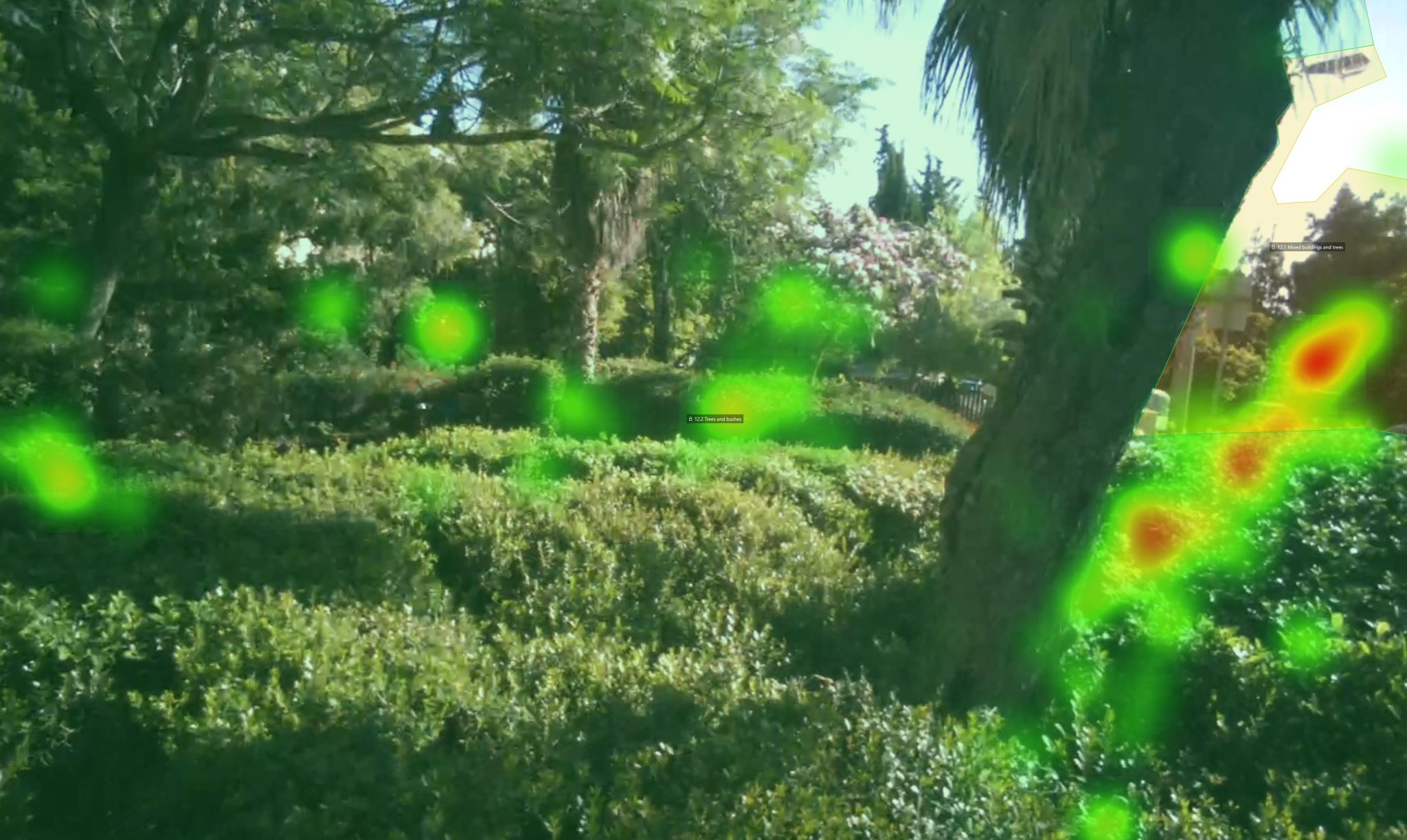 New Study Reveals That Simply Looking at Trees Can Boost Your Mental Health