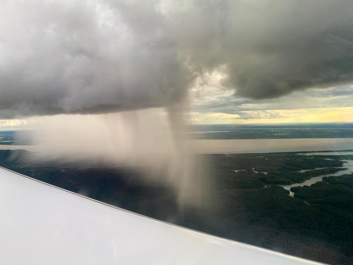 Unlocking the Amazon’s Hidden Power to Shape Global Weather