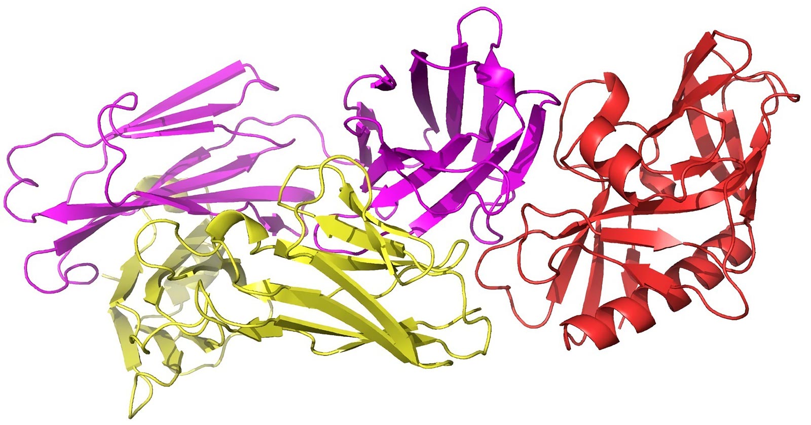 Nanoparticle Immunogen Design Targets HIV and Other Fast-Mutating Viruses