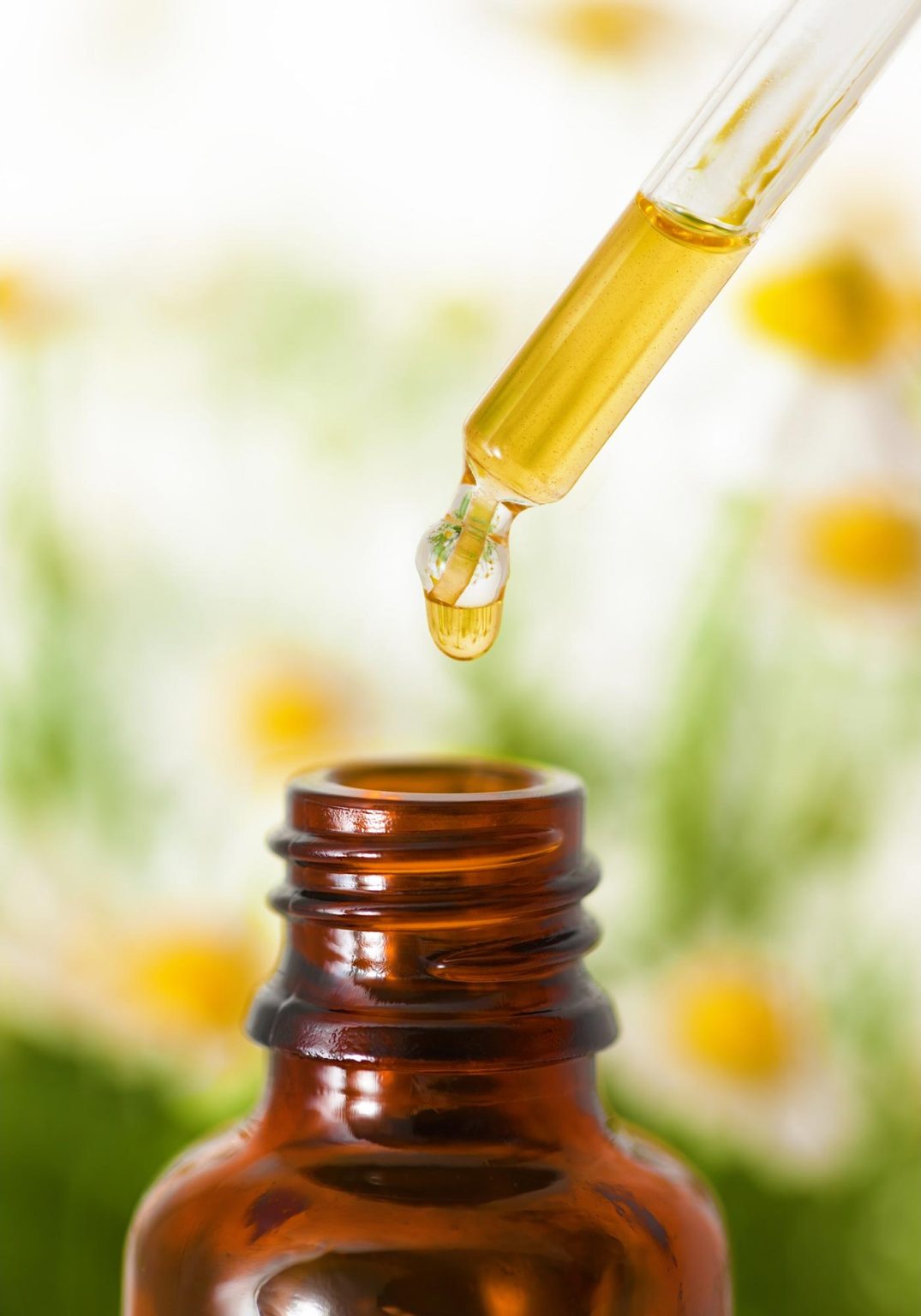 Herbal Extract Shows Promise in Treating Diabetes