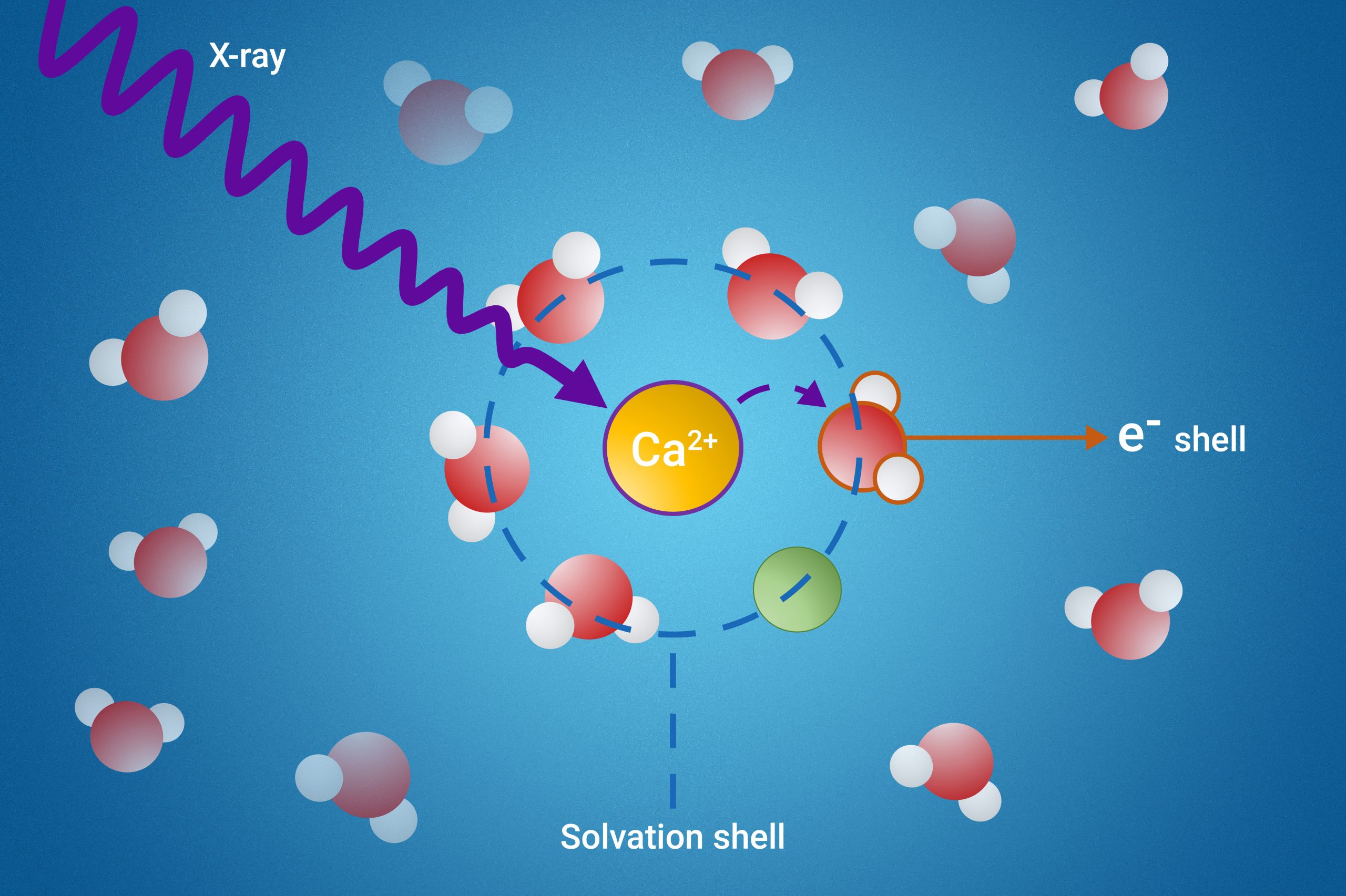 New Technique Sheds Light on the Hidden World of Solvation Shells