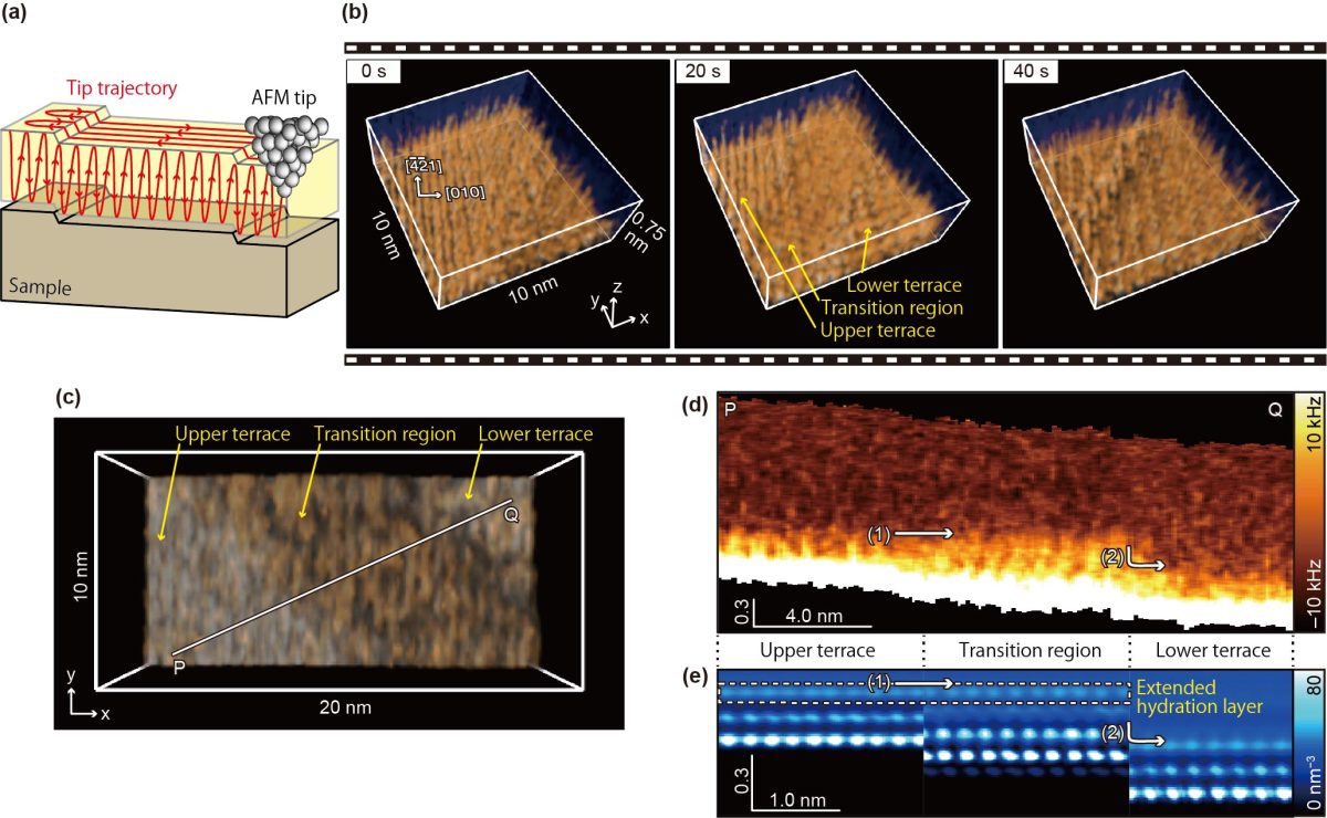 Atomic Force Microscopy Confirms Long Disputed Hydration Layer In