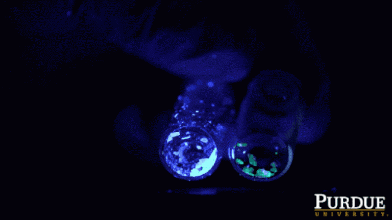 A Sunny Outlook for Solar: New Research Demonstrates Great Promise for ...