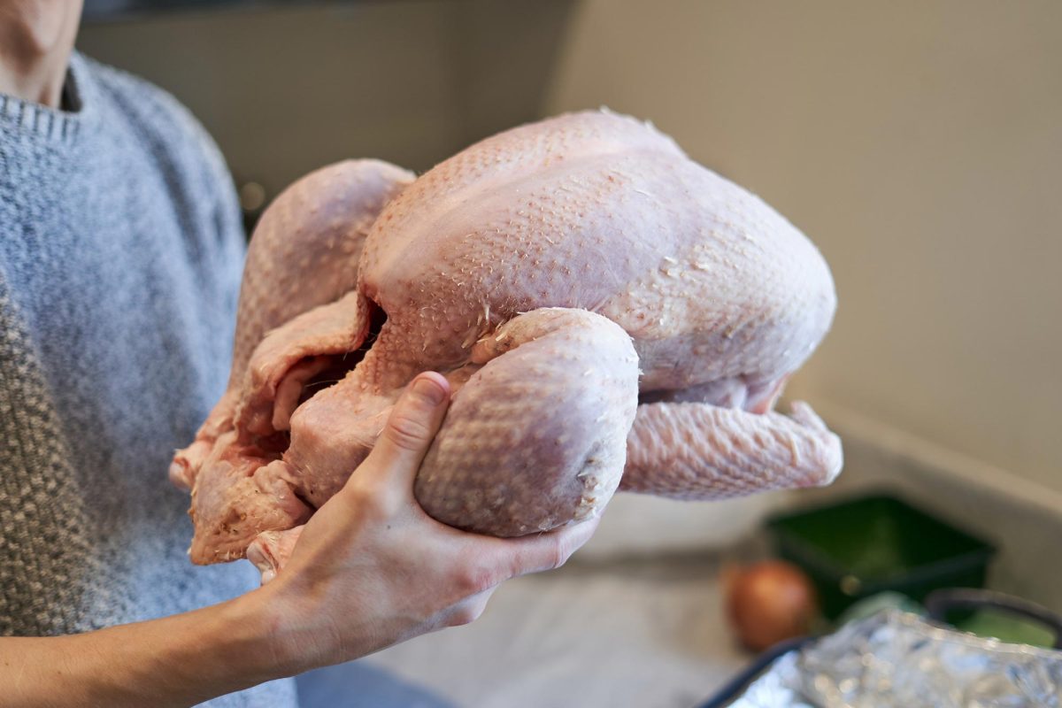 Fecal Contamination: Why Researchers Are Warning About Thanksgiving Turkey