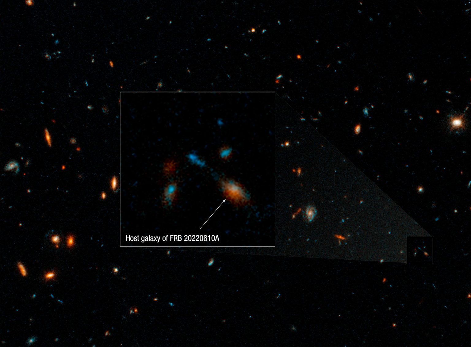 Unprecedented Discovery: Strange “Blob-Like” Origin of Mysterious ...