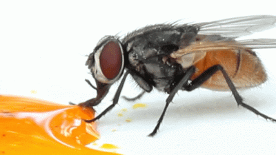 Science News - Page 25 of 173 - SciTechDaily