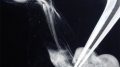 Chemistry Behind the Bombardier Beetle’s Extraordinary Firepower ...