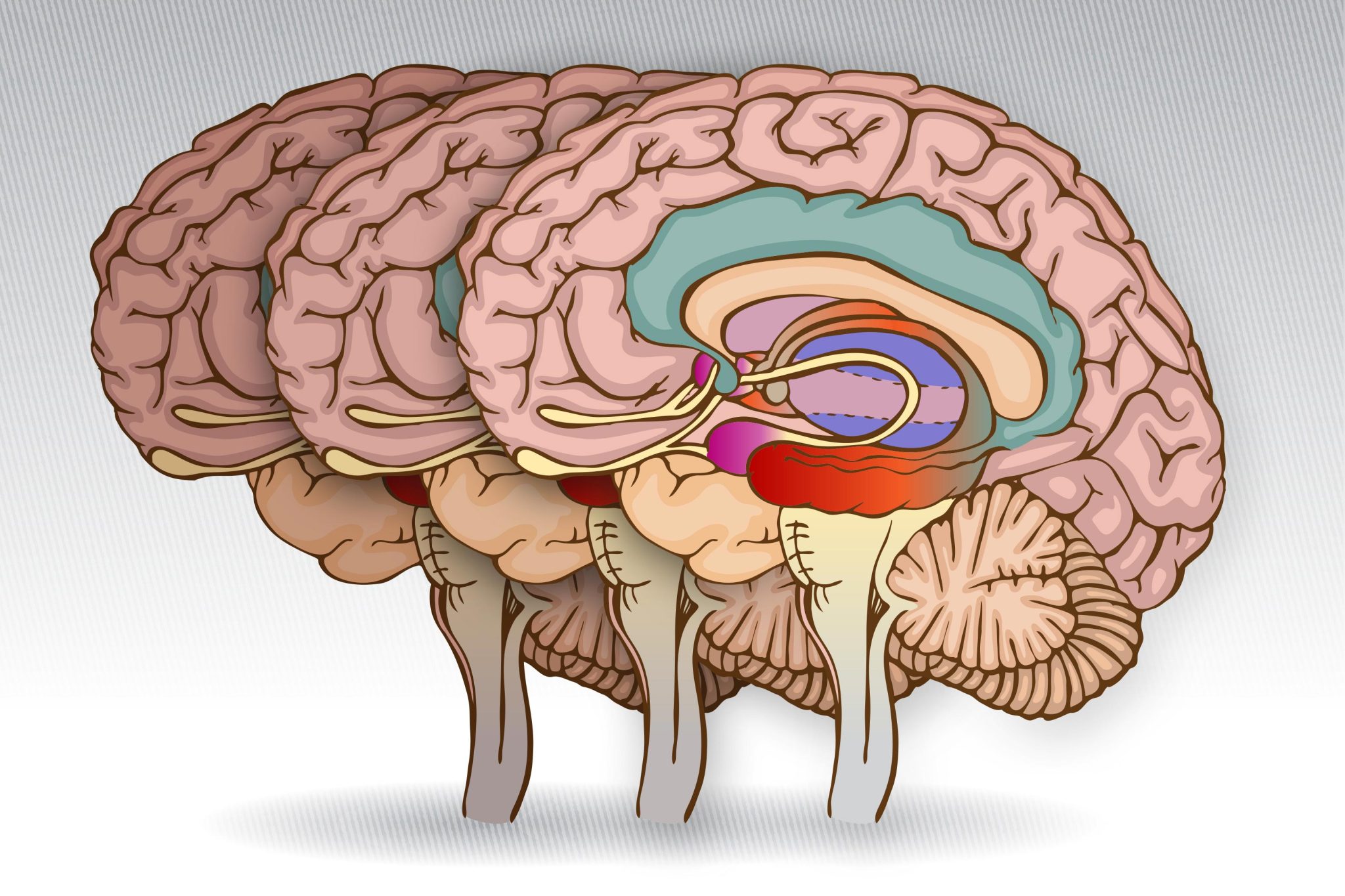 Unlocking the Mystery of Cognitive Decline Before Dementia