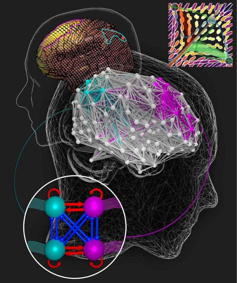 Brain Speed vs Intelligence: New Study Disputes Long-Held Beliefs