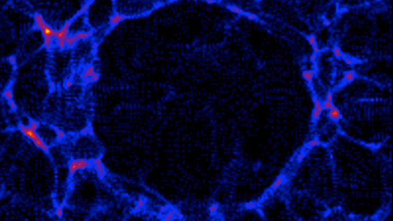 Is the Universe a Bubble? - Physicists Work on the Multiverse Hypothesis