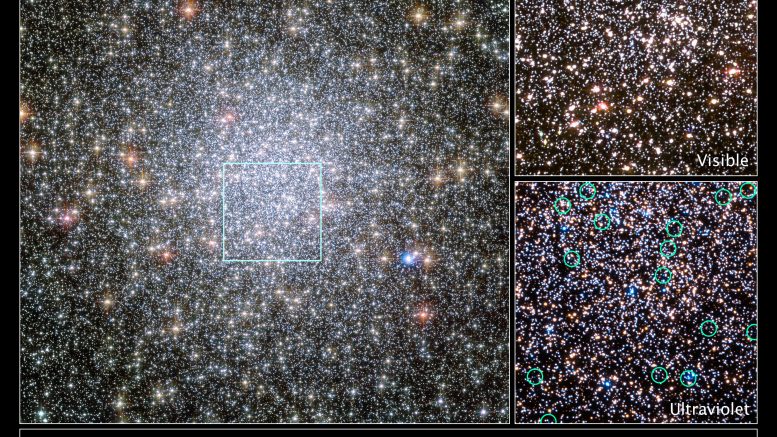 Hubble Space Telescope Reveals Monster Stars in Star Cluster R136