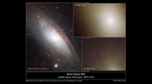 Hubble Observes Rare Blue Stars in Andromeda's Core