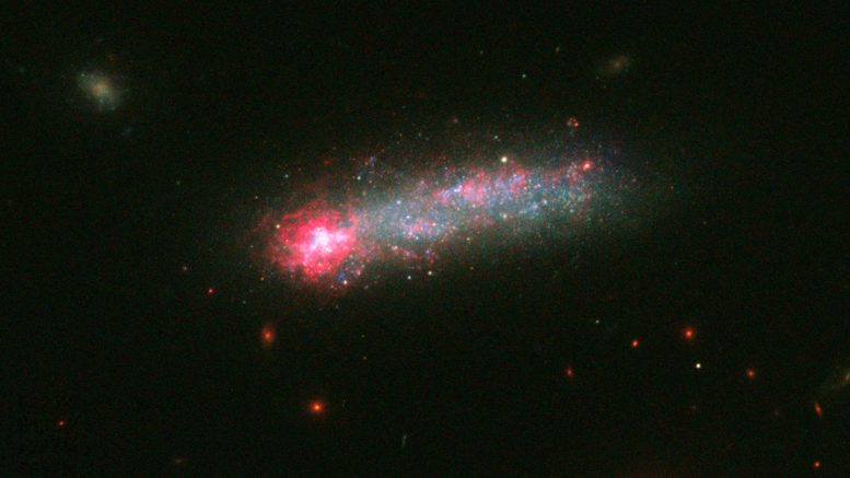 Hubble Captures Breathtaking View of the “Fireworks Galaxy”
