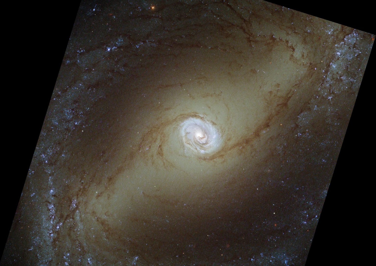 Webb Space Telescope Reveals “Mind-Blowing” Structure in 19 Nearby Spiral Galaxies