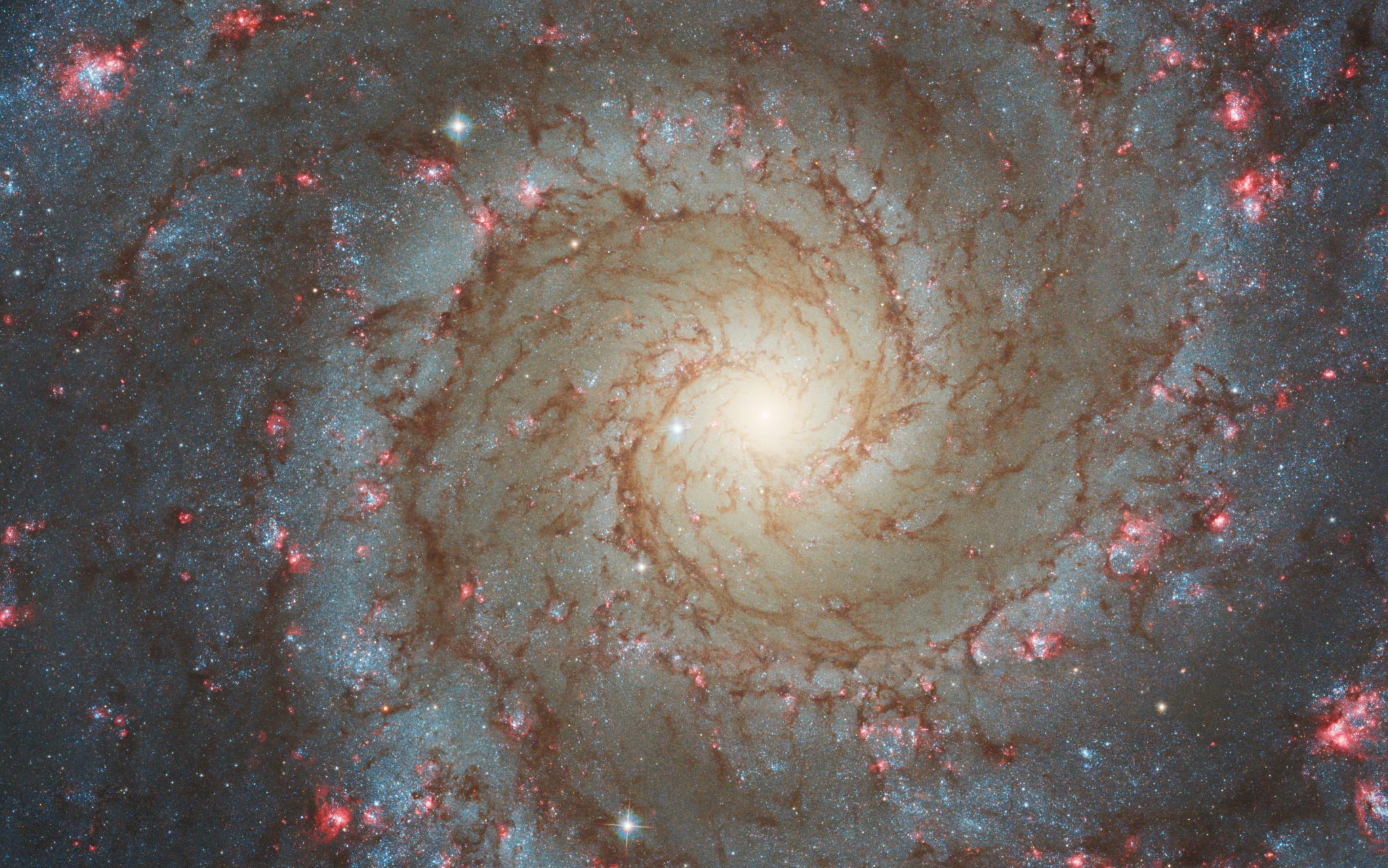 Webb Space Telescope Reveals “Mind-Blowing” Structure in 19 Nearby Spiral Galaxies