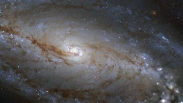 Sculpted in Sculptor: An Incredibly Beautiful Barred Spiral Galaxy