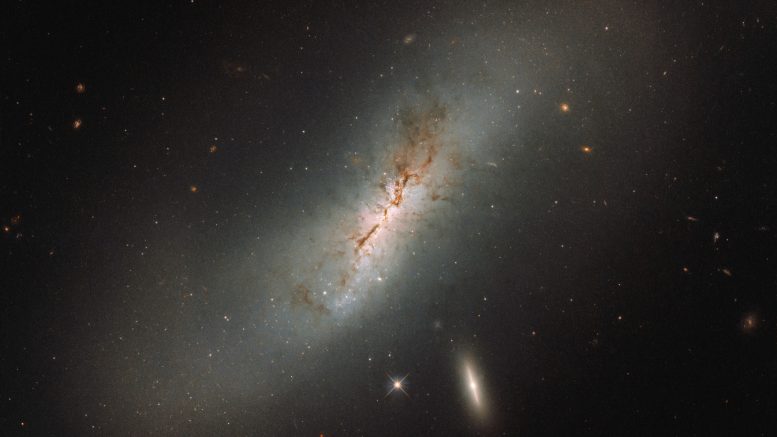 Hubble Image of the Week - A Galactic Cloak for an Exploding Star