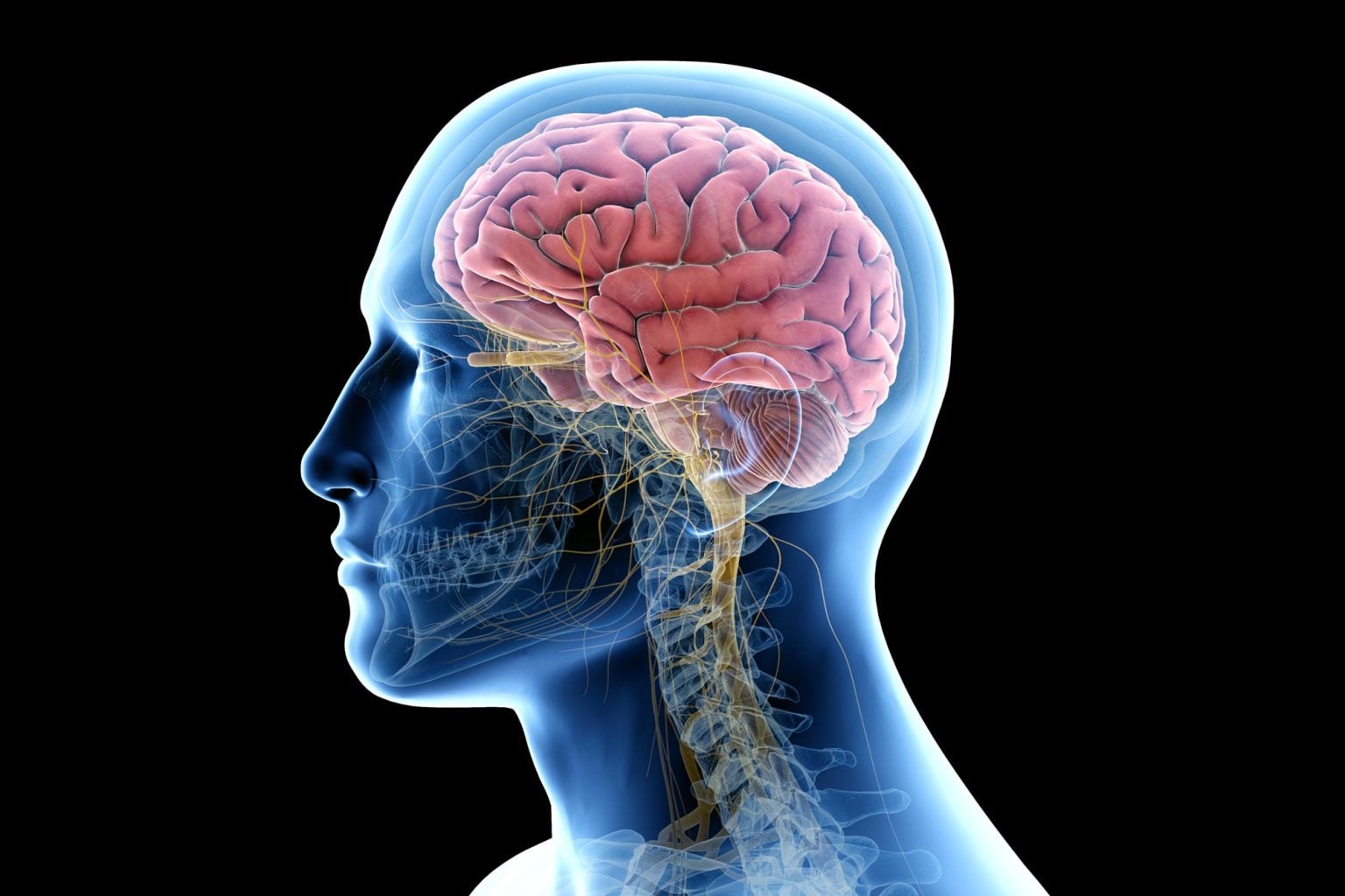 Scientists Discover Surprising Similarities Between Freud’s Ideas and ...